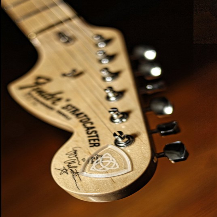 PickaPicks, Revolución en púas